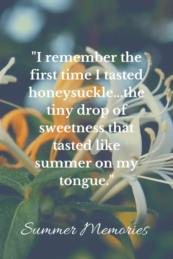 Summer Memories: Discovering A Fountain Of Youth In A Simpler Time