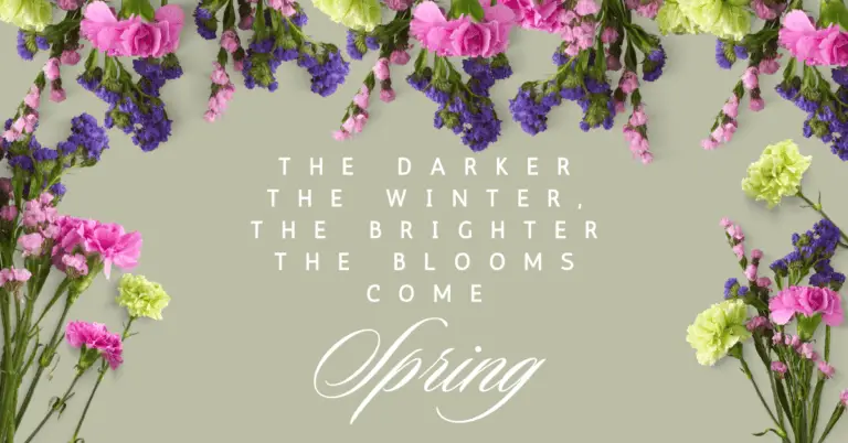 Celebrating Nature's First Spring Flowers