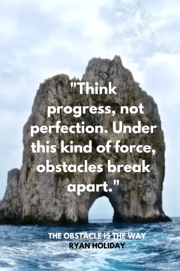 15 The Obstacle Is The Way Quotes By Ryan Holiday: Stoic Philosophy In ...